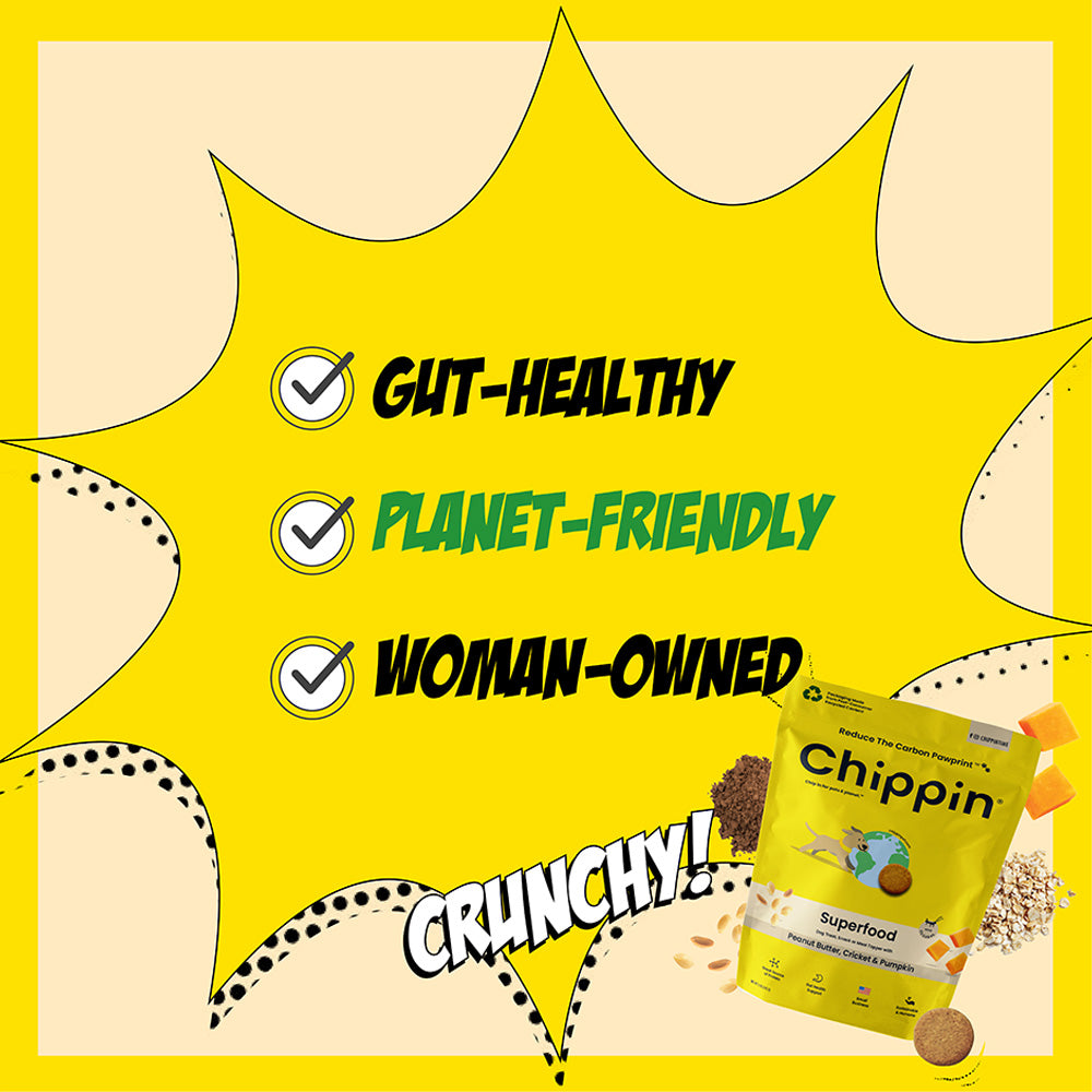 Superfood | Doggy Nibbles